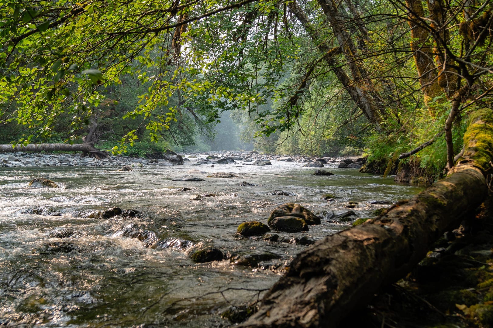 About - Washington Climate Partnership