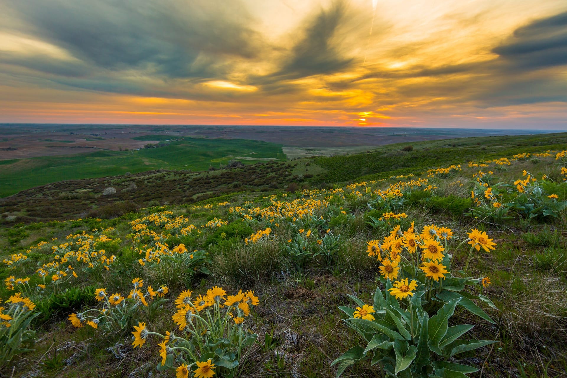 About - Washington Climate Partnership